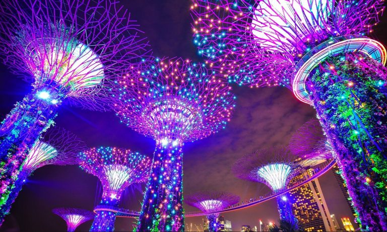 Learn With Lily – Science For Kids